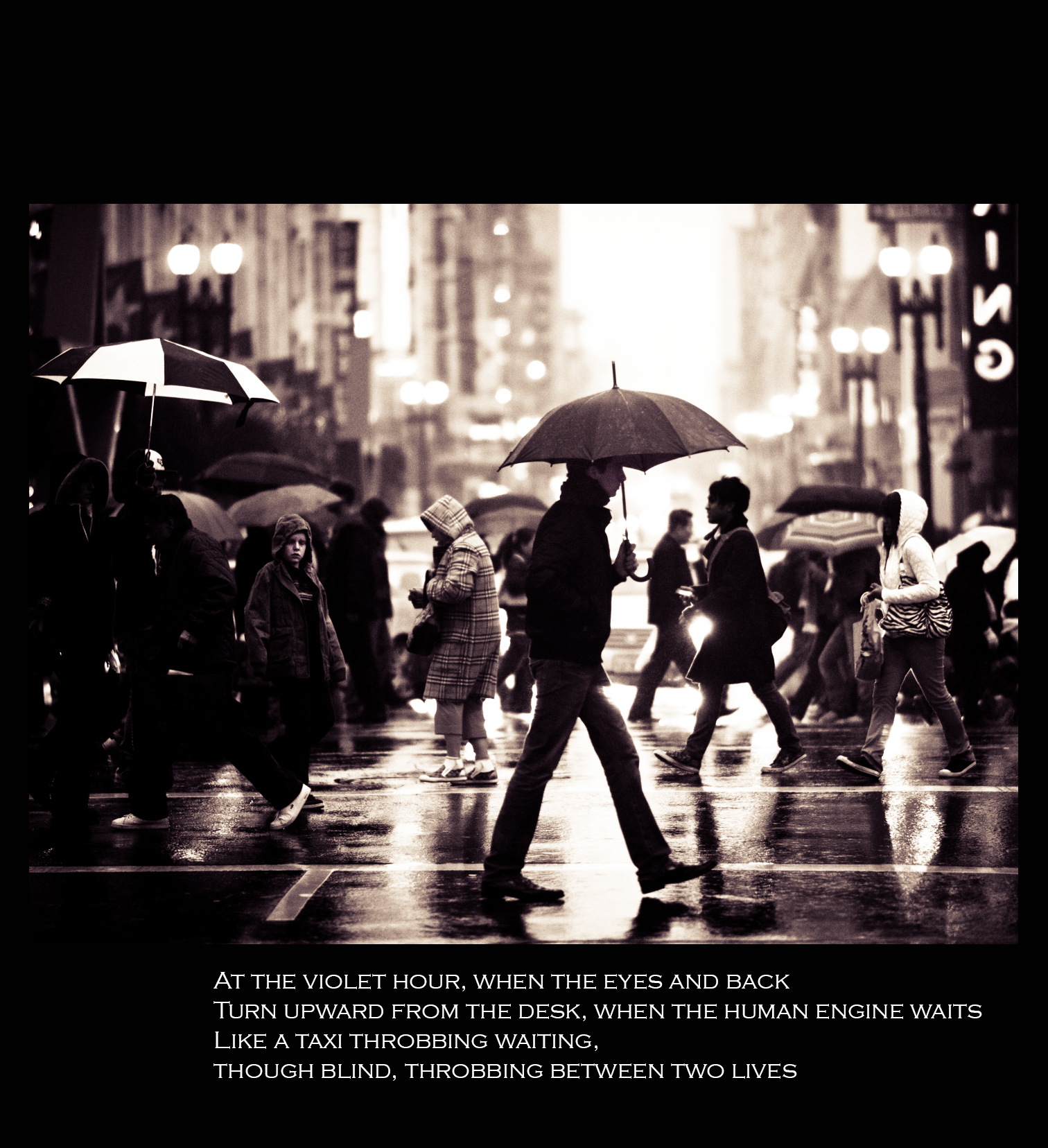 Human taxi | misery tourism